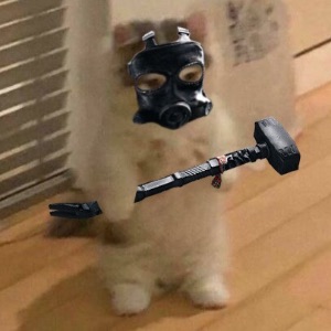 Bellakitos - rainbow_6 Team - FACEIT.com