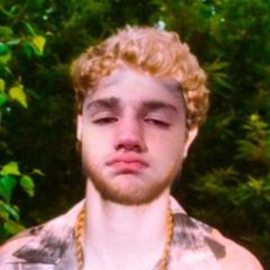 buratin - csgo Team - FACEIT.com